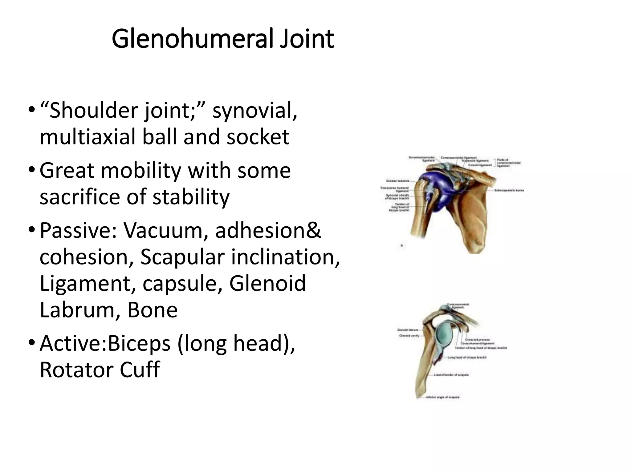 Examination Shoulder (1).pptx