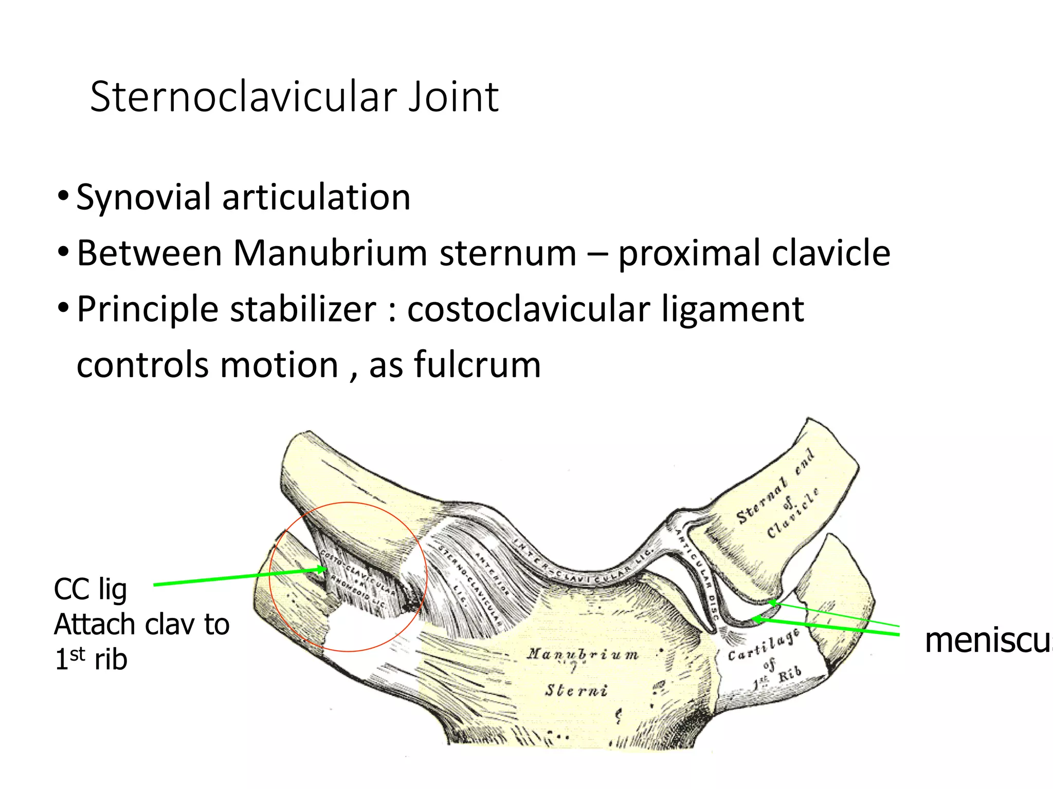 Examination Shoulder (1).pptx