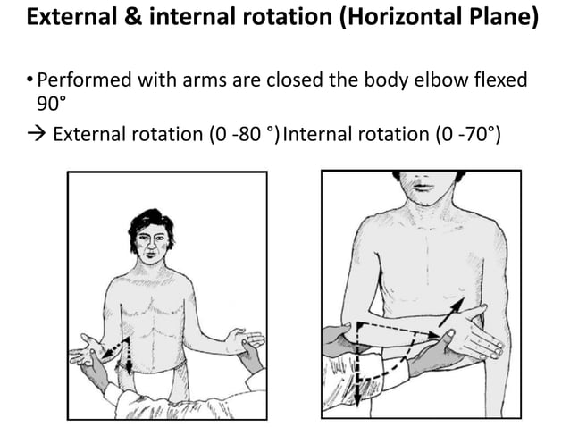 Examination Shoulder (1).pptx