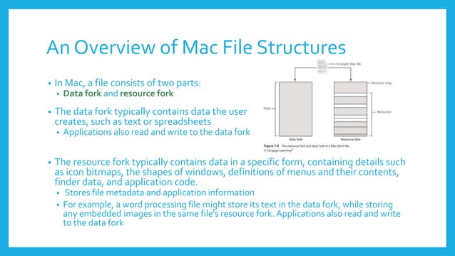 Examining Mac File Structures | PPTX | Operating Systems | Computer ...