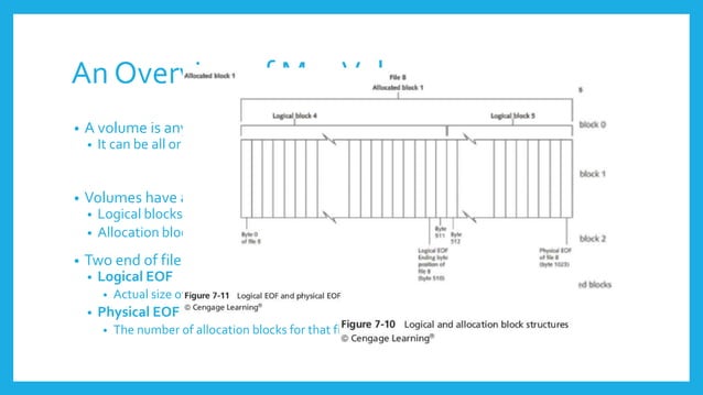 Examining Mac File Structures | PPTX | Operating Systems | Computer Software and Applications