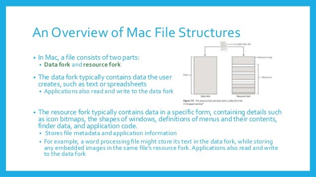Examining Mac File Structures 3973
