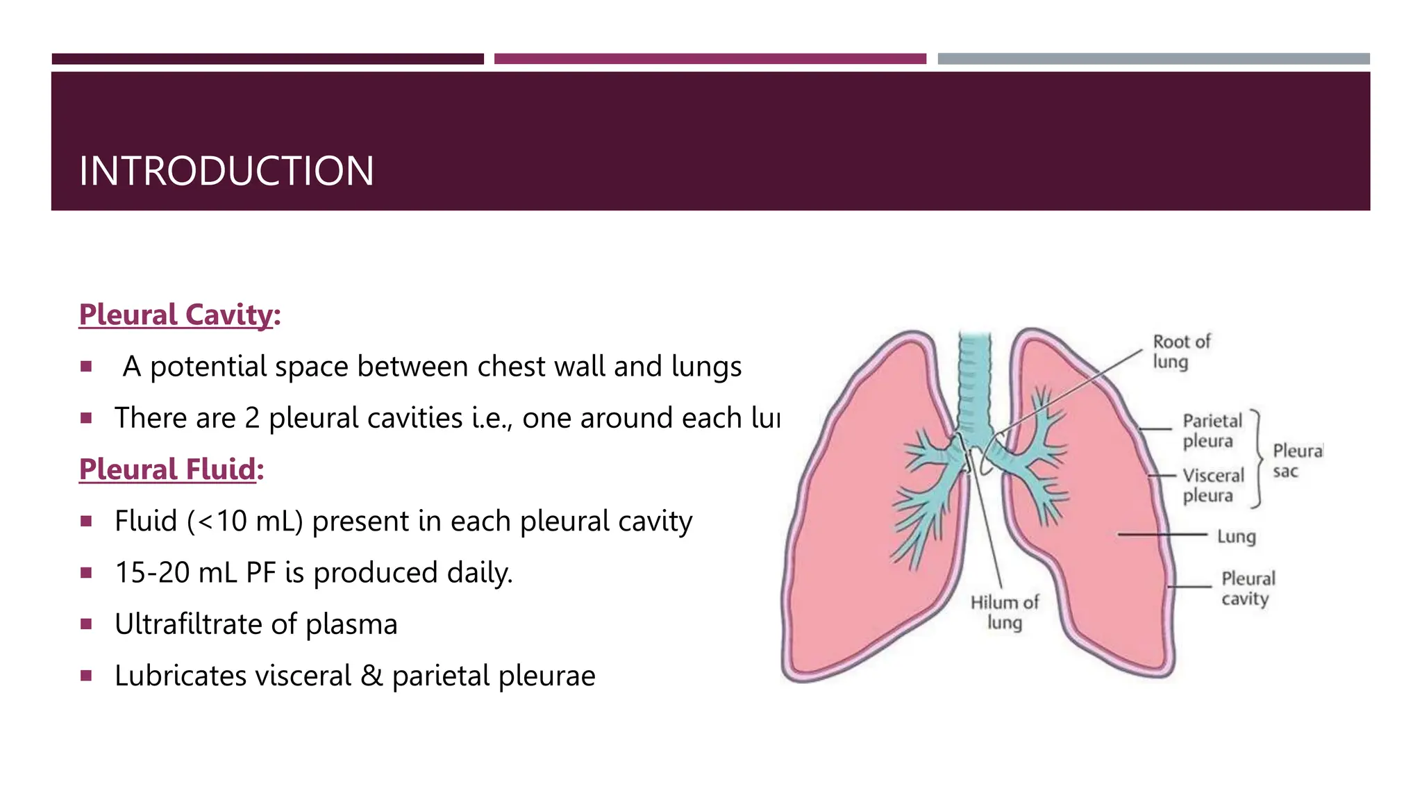 Examining Pleural Fluid.pptx