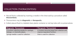 Examining Pleural Fluid.pptx