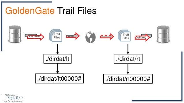 Examining Oracle Goldengate Trail Files 