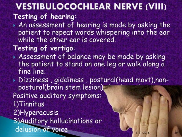 Examnination of cranial nerves | PPT