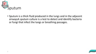 Examination of Sputum for Laboratory Diagnosis.pptx | Lung and ...