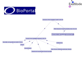 ExaMode: Building Multi-modal Knowledge Graph for Better Diagnostics ...