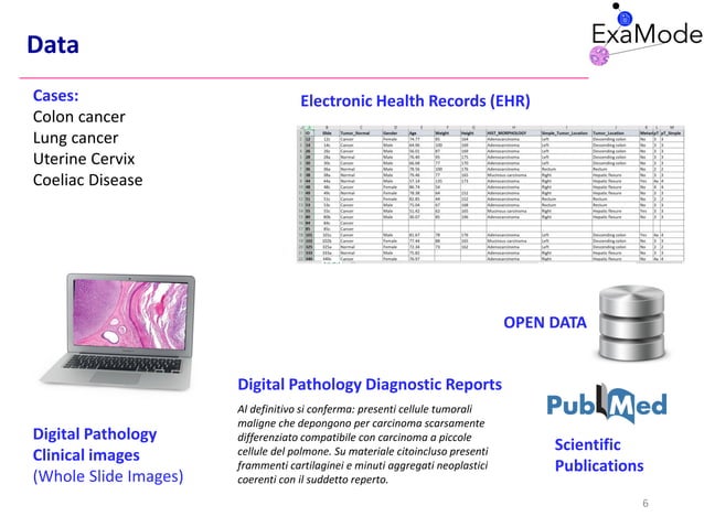 ExaMode: Building Multi-modal Knowledge Graph for Better Diagnostics | PPT