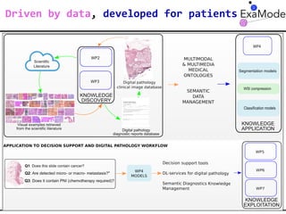 ExaMode: Building Multi-modal Knowledge Graph for Better Diagnostics | PPT