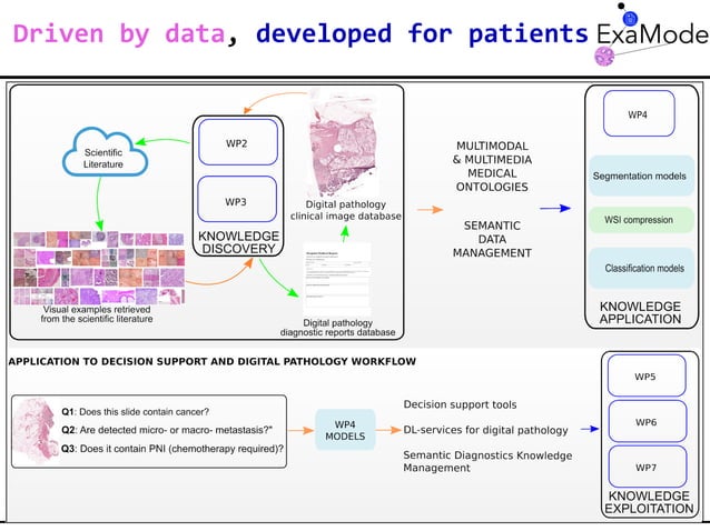 ExaMode: Building Multi-modal Knowledge Graph for Better Diagnostics | PPT