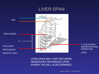 Exam Of Abdomen. | PPT