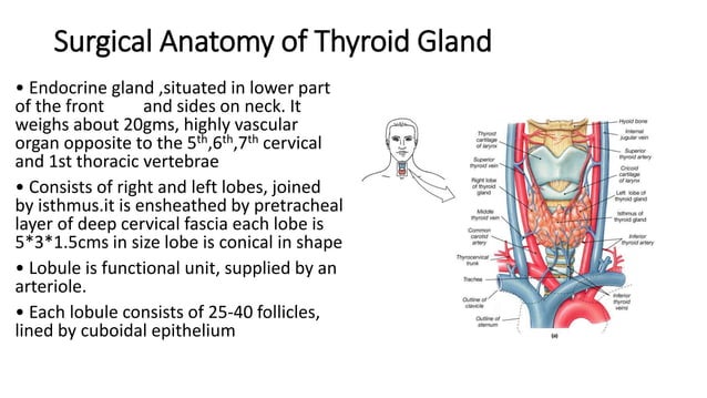 Exam of thyrod gland | PPT