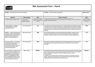 "Indelible" Risk Assessment | PDF