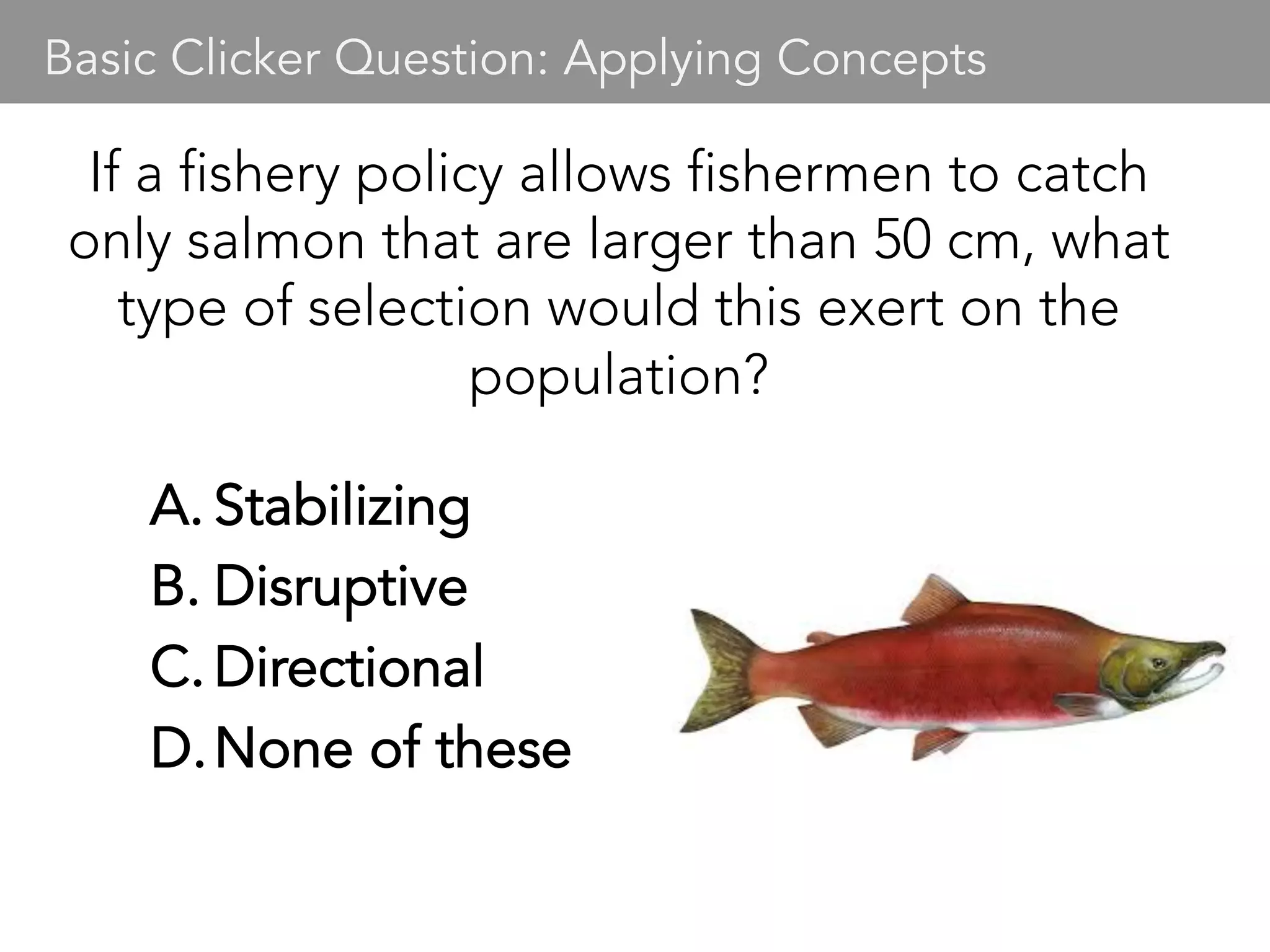 Example Clicker Questions | PPT