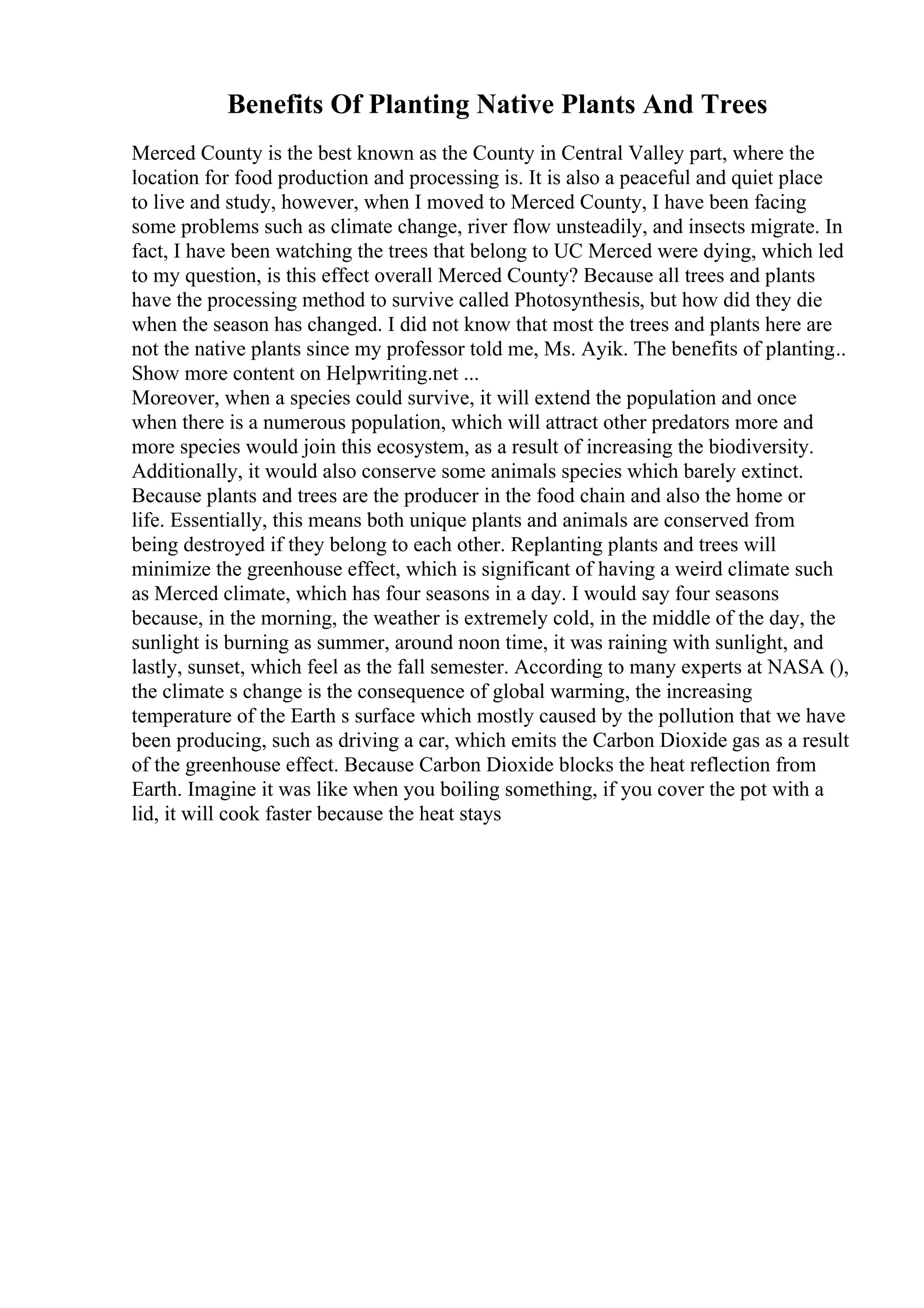 Example Descriptive Essay | PDF