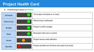 Detailed Project Status Report Template | PPTX