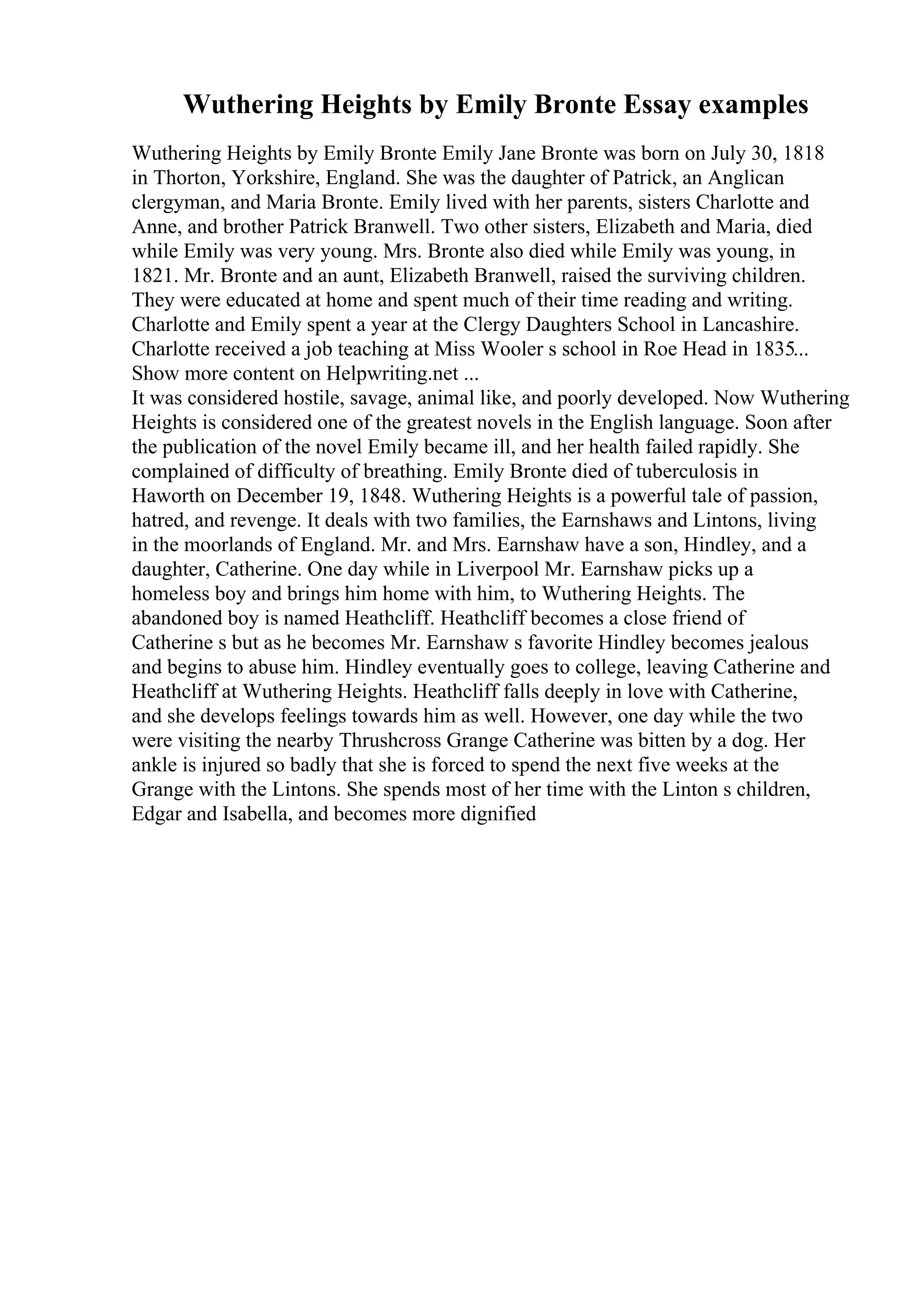 Example English Essay.pdfExample English Essay | PDF