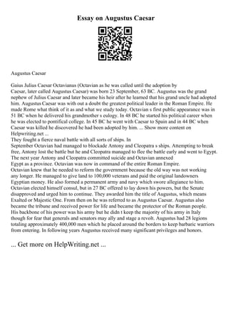 Example Essay Famous Personality | PDF