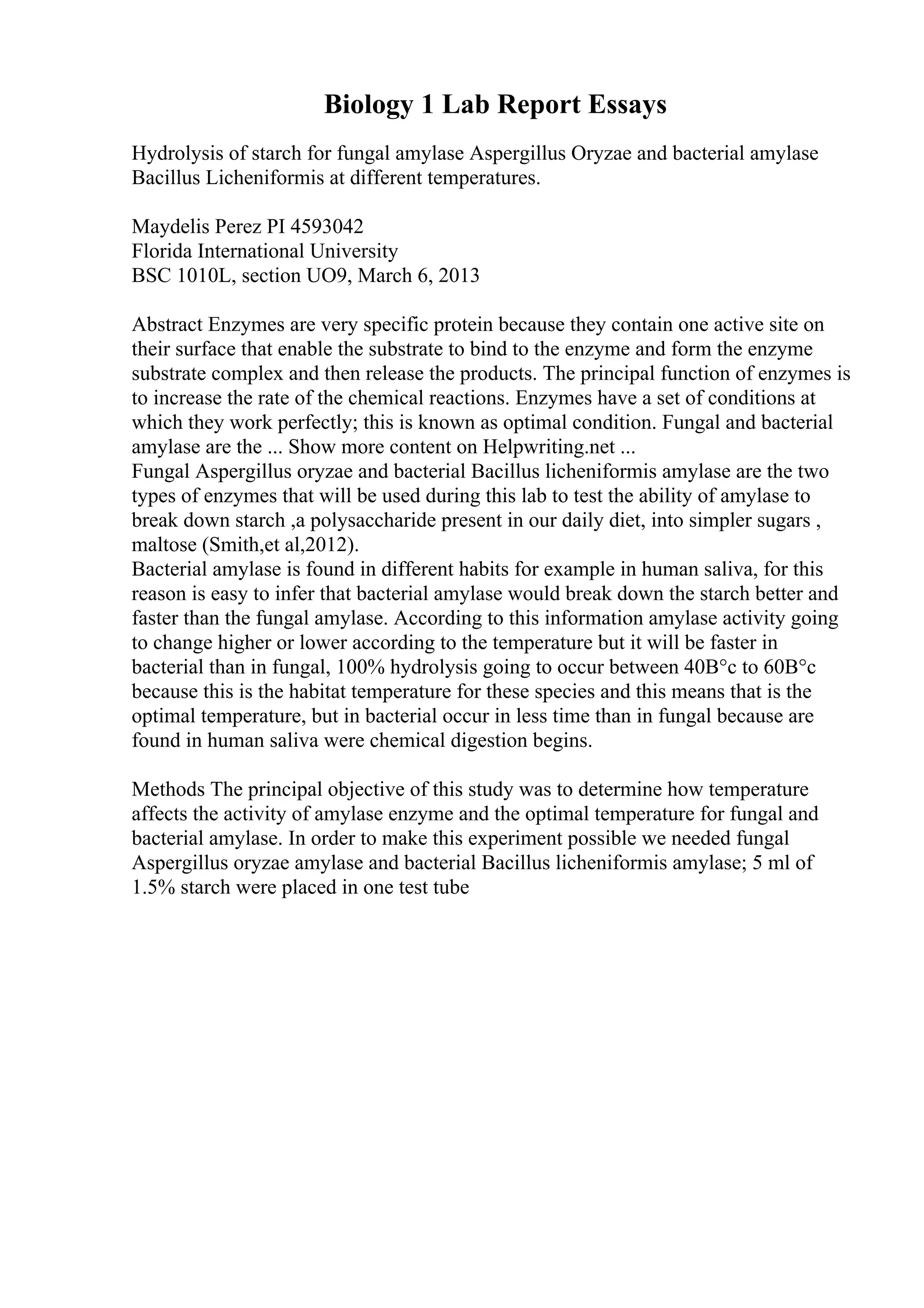 Example Informative Essay | PDF