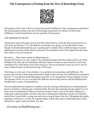 Example Of A Hero Essay Template. Online assignment writing service. | PDF