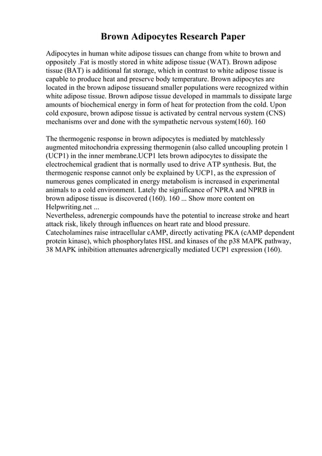 Example Of An Exemplification Essay.pdf