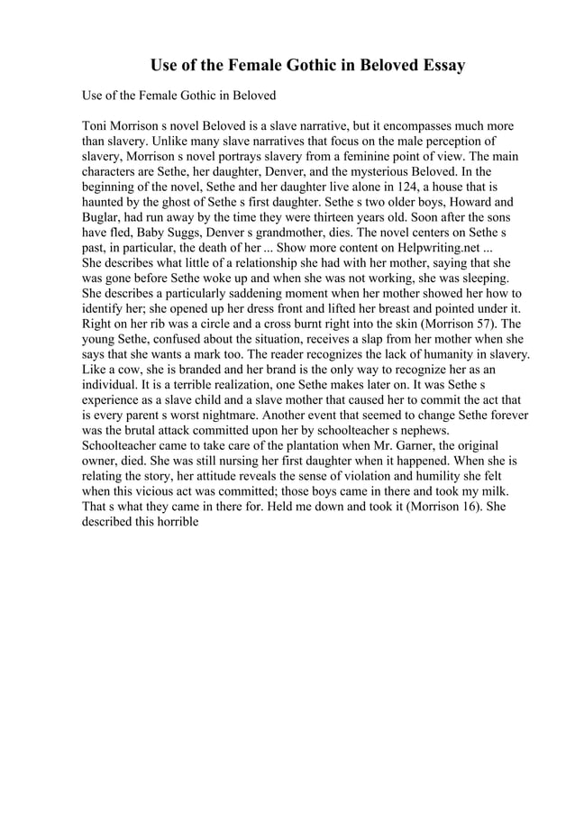 Example Of An Exemplification Essay.pdf