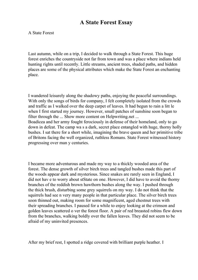 Example Of An Observation Essay. 002 Observation Essay Example ...