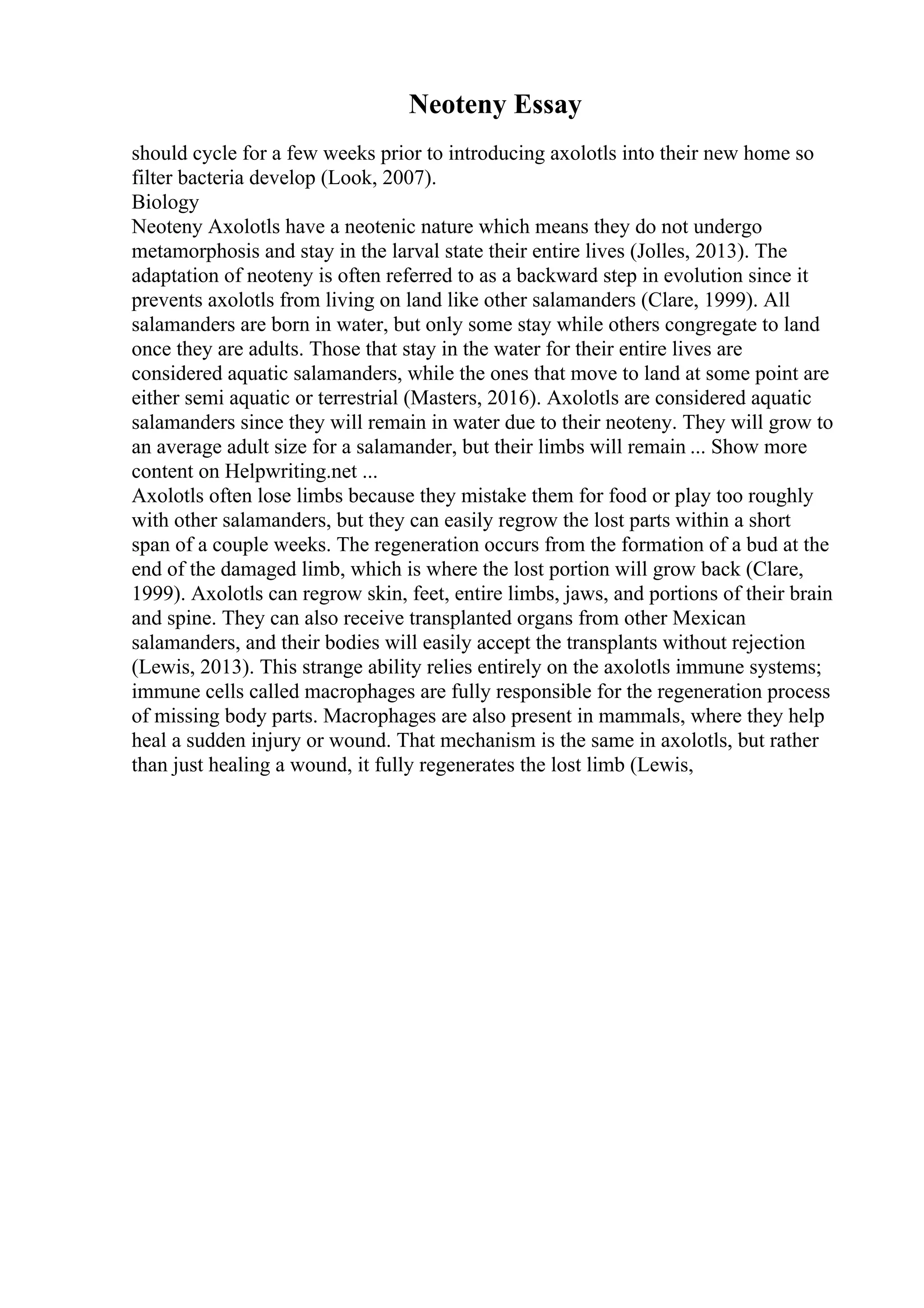 Example Of A Well Written Essay.pdf