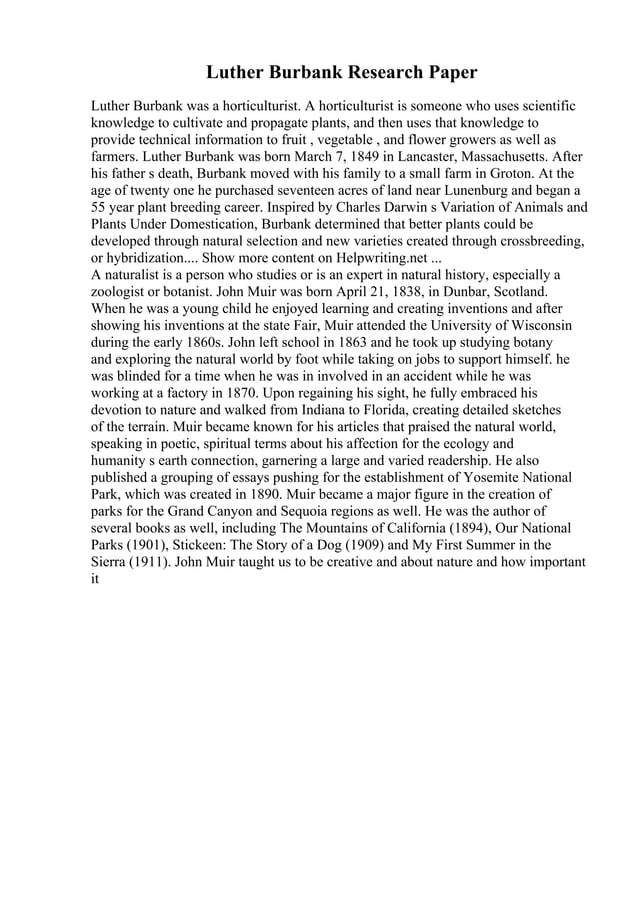 Example Of Classification And Division Essay | PDF