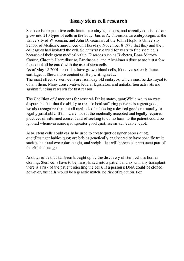 Example Of Essay Writing In English | PDF
