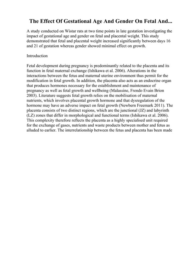 Example Of Expository Essay Writing | PDF