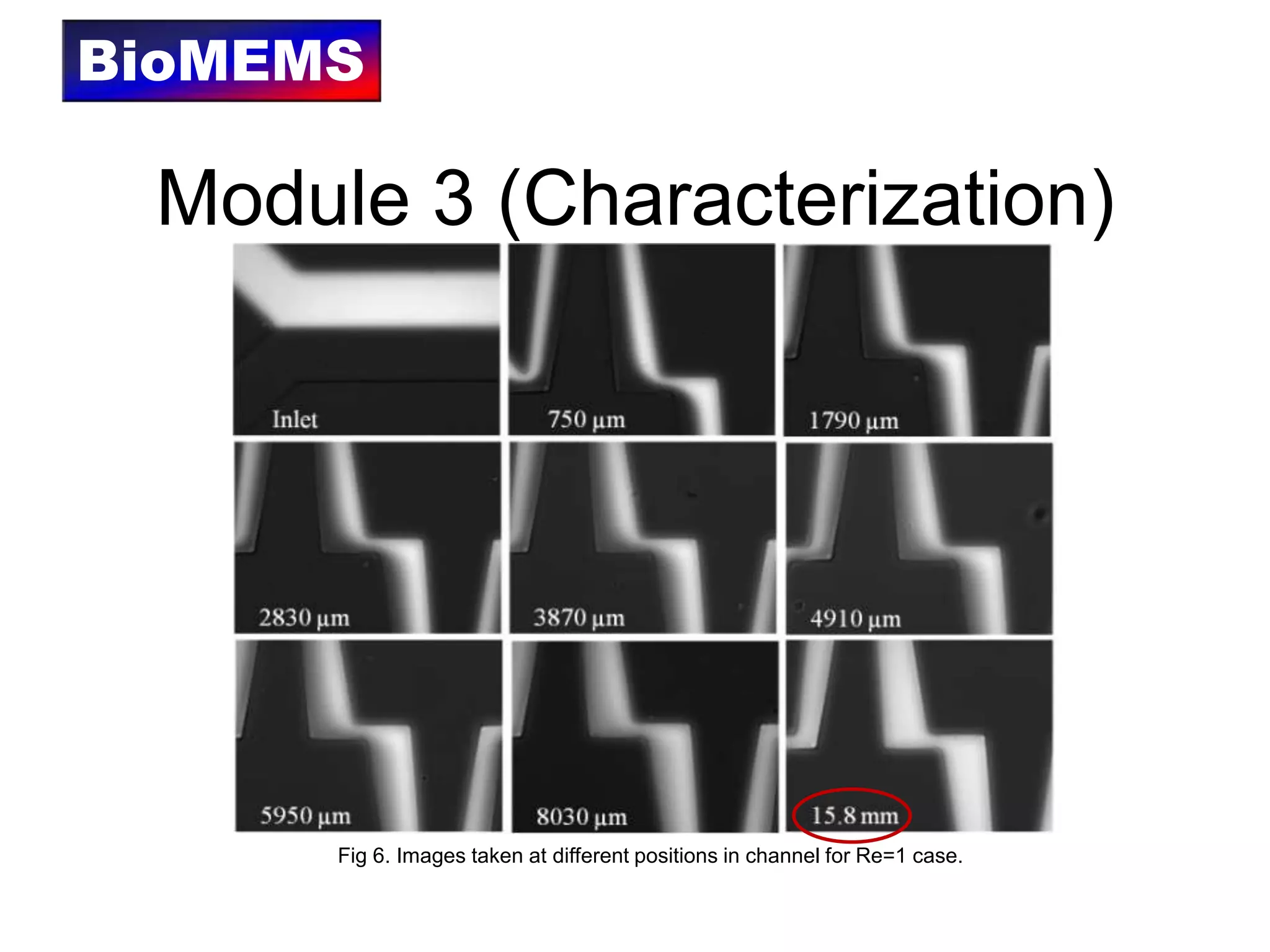 Microfluidics project | PPTX