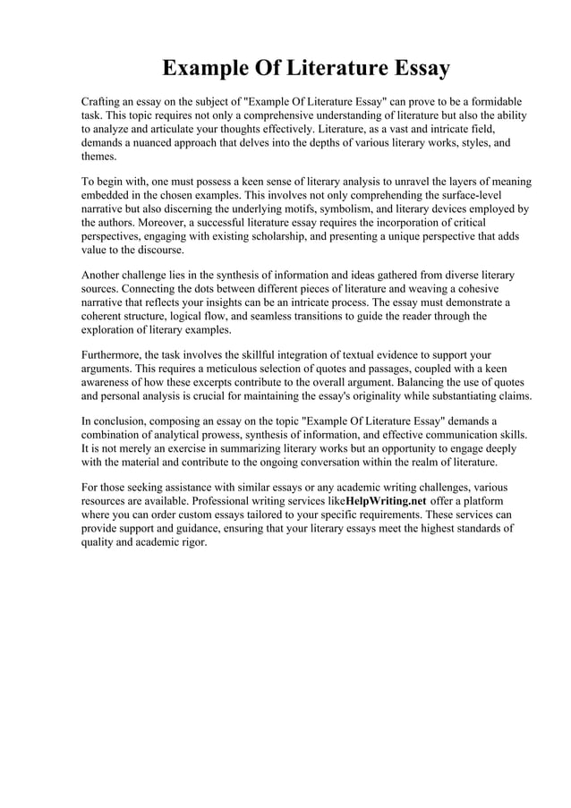 Example Of Literature Essay | PDF
