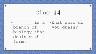 Example of mystery word of the day | PPTX