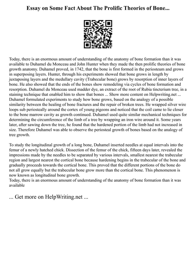 Example Of Position Paper Sample Position Paper By | PDF