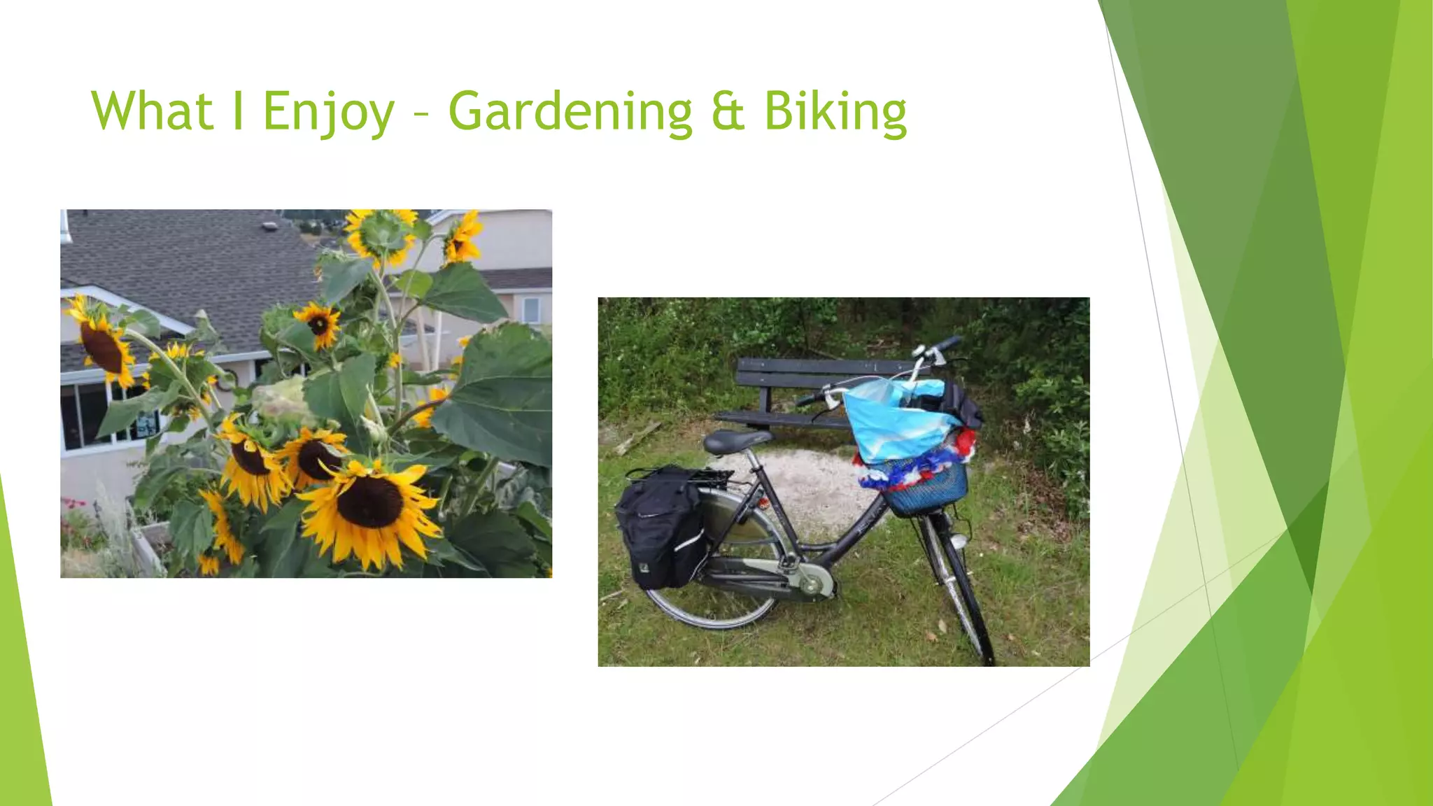 Example of who am i | PPT