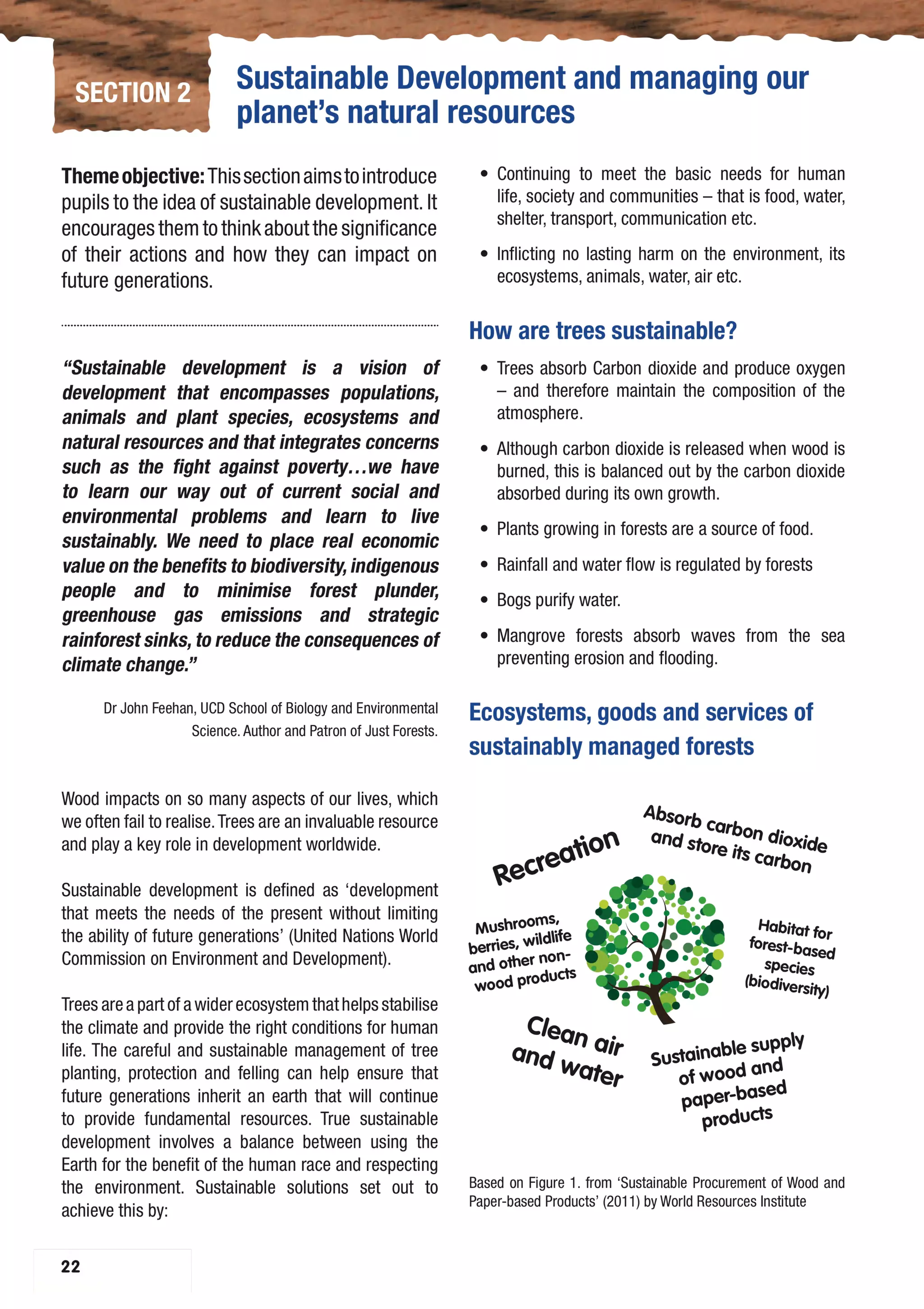 Sample pages Thinking TREES | PDF