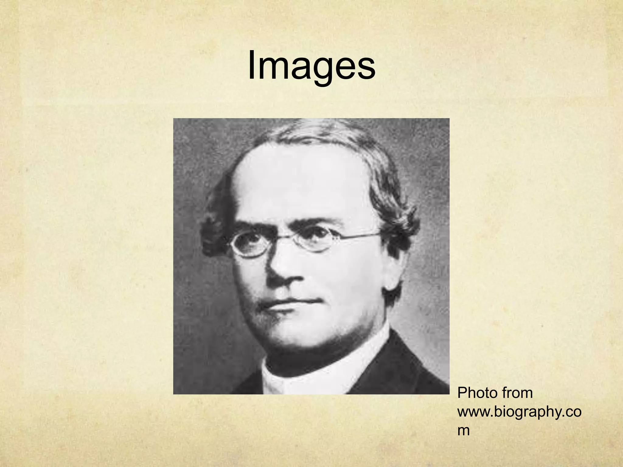 guidelines for ppt presentations | PPT