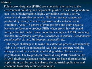 PHB presentation 2 | PPT