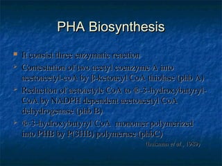 PHB presentation 2 | PPT