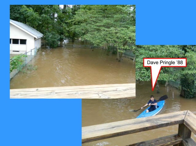 Examples of discharge analysis | PPT