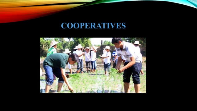 EXAMPLES-OF-CIVIL-SOCIETY.pptx | Non-Profit Organizations | Industries