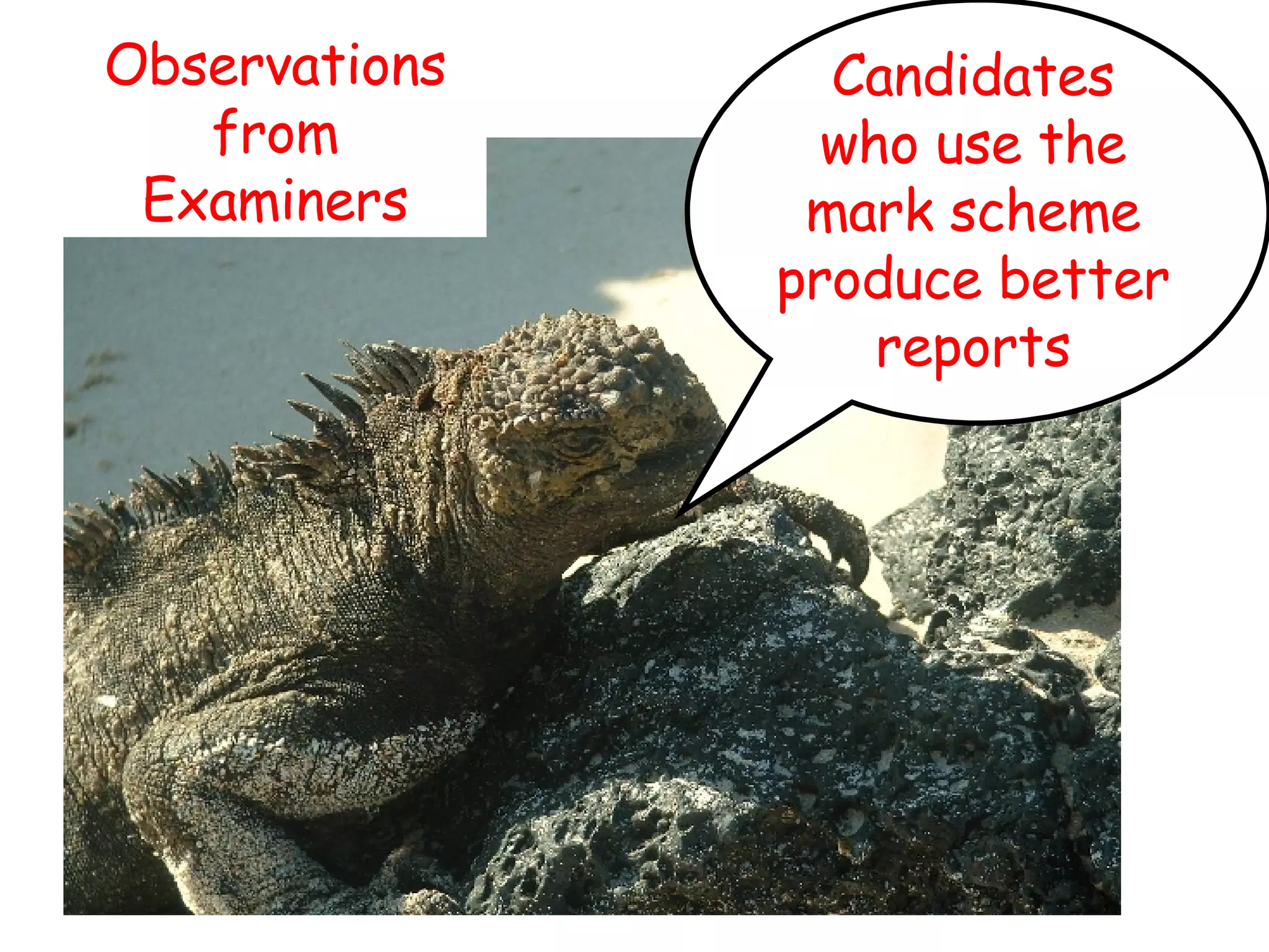 Examples Of Good And Bad Essays | PPT