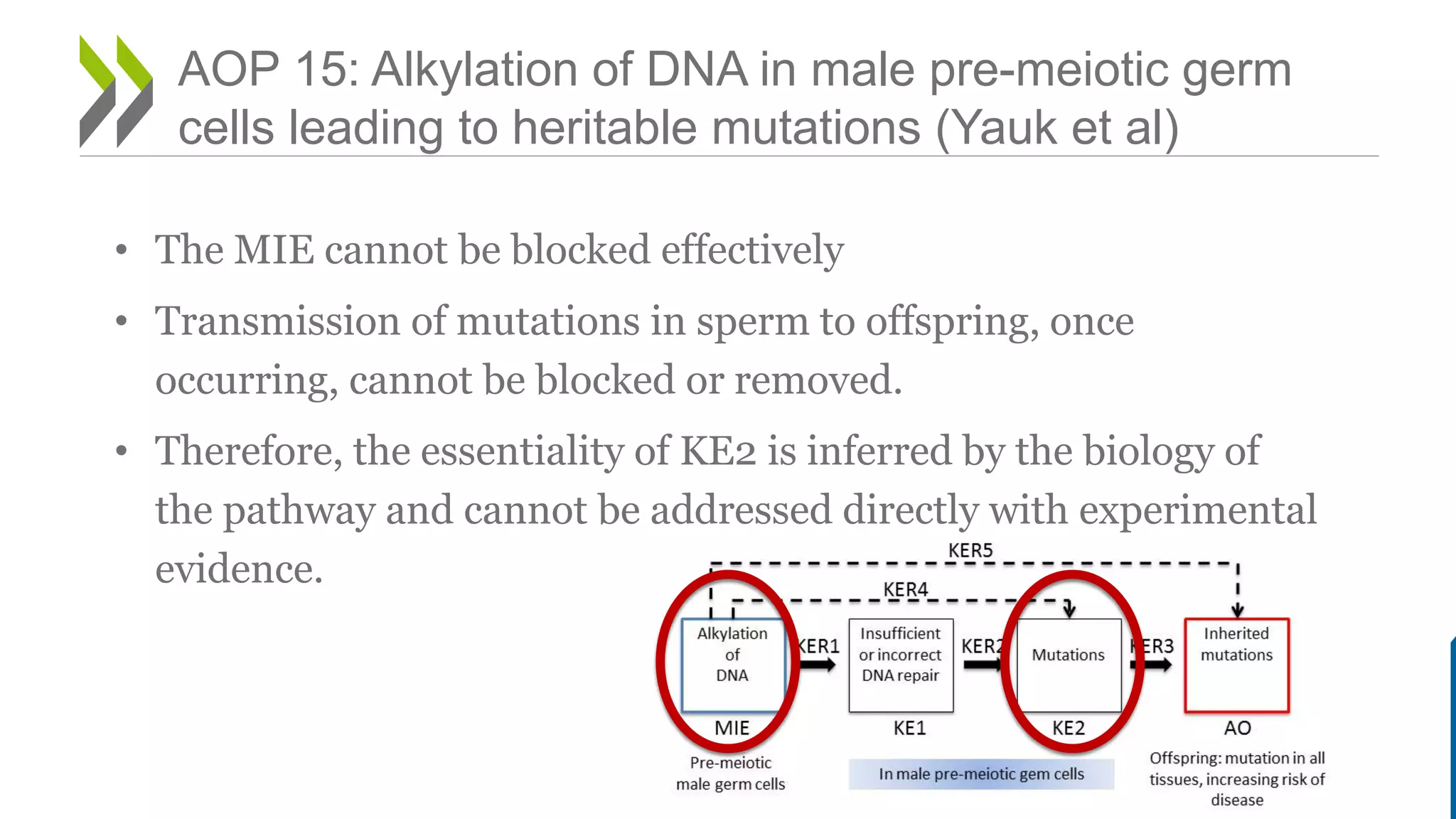 Examples of implementing weight of evidence in adverse outcome pathways ...