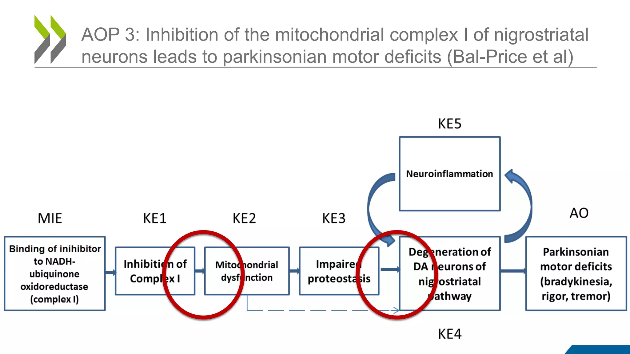 Examples of implementing weight of evidence in adverse outcome pathways ...