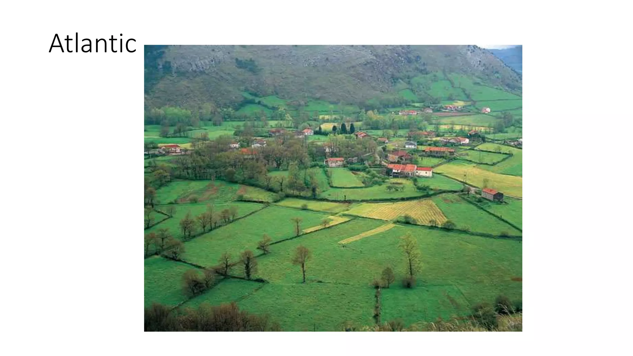 Examples of agricultural landscapes of spain | PPT