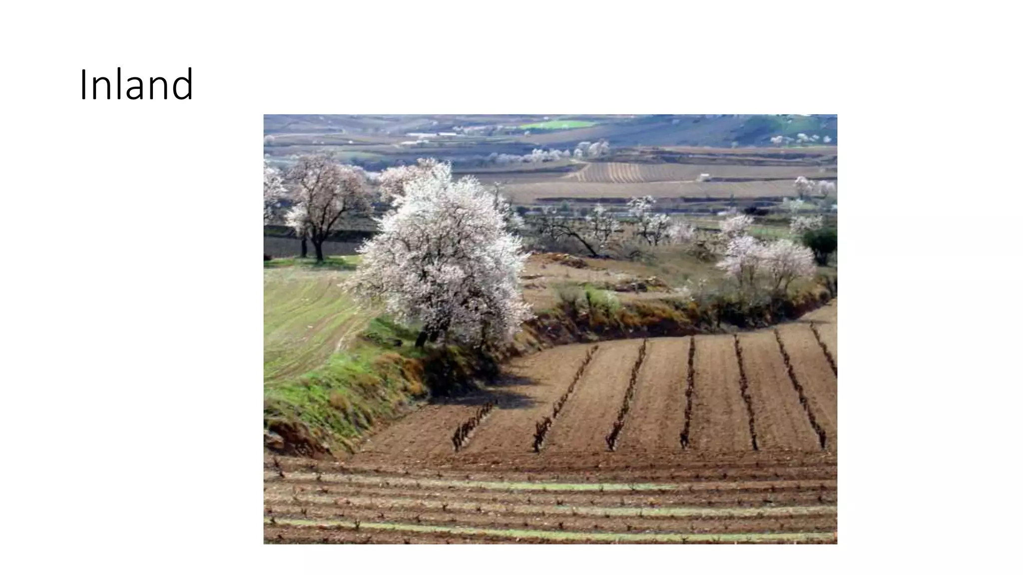 Examples of agricultural landscapes of spain | PPT