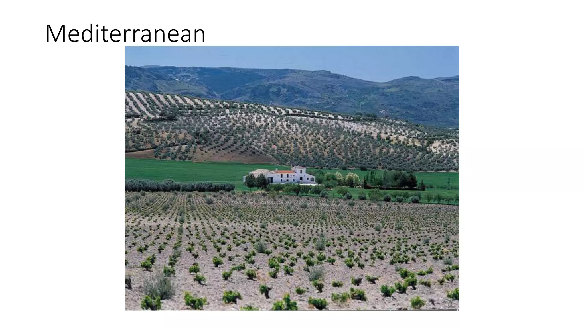 Examples of agricultural landscapes of spain | PPT
