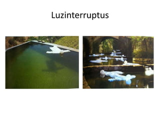 Examples of alternative media | PPT